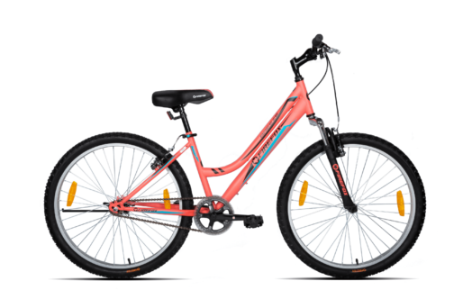 Ladies Cycle Price in Coimbatore | Bsa Lady Bird Girls Cycle | CycleNavy